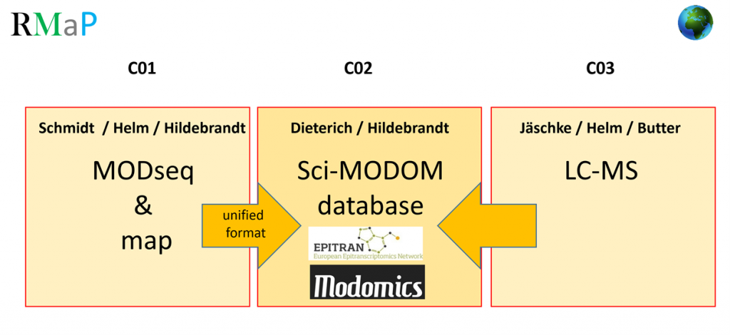Project Area C: "New RNA Technology for RMaP" - IPBW